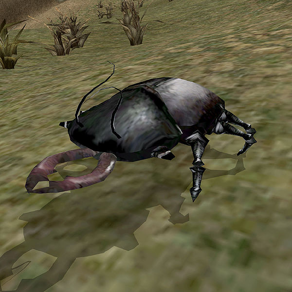 Shalk Morrowind Elder Scrolls Fandom