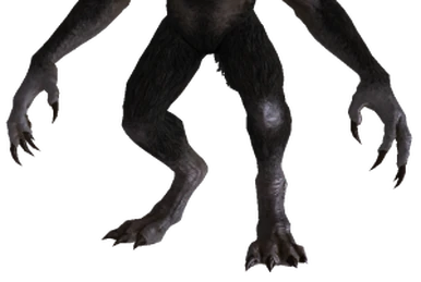 skyrim werewolf level up command