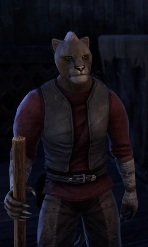 Yenar | Wiki The Elder Scrolls | Fandom