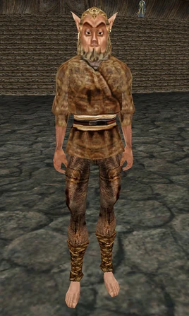 Gaenor | Elder Scrolls | Fandom