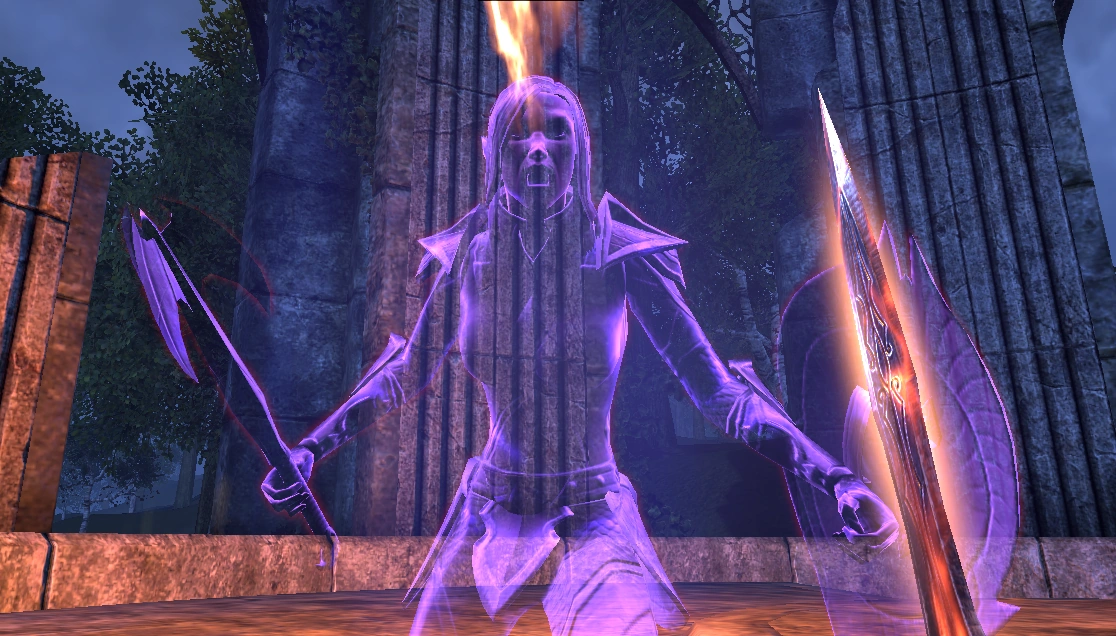Guard Work is Never Done | Elder Scrolls | Fandom