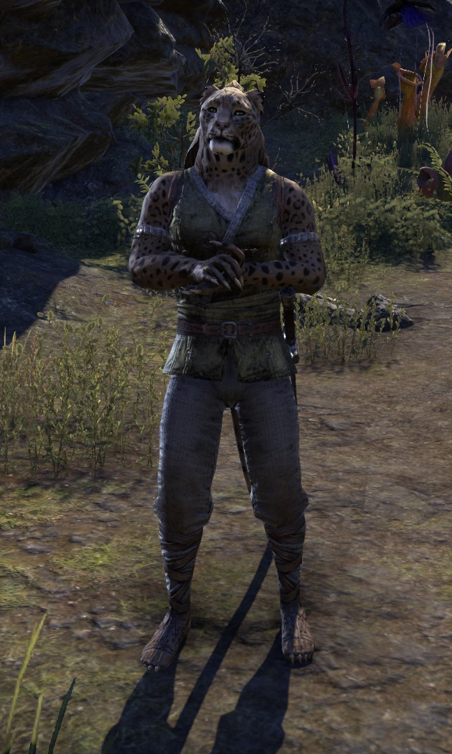 Category:ESO Morrowind: Khajiit | Elder Scrolls | Fandom