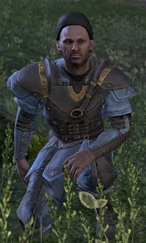 Lieutenant Harim | Elder Scrolls | Fandom