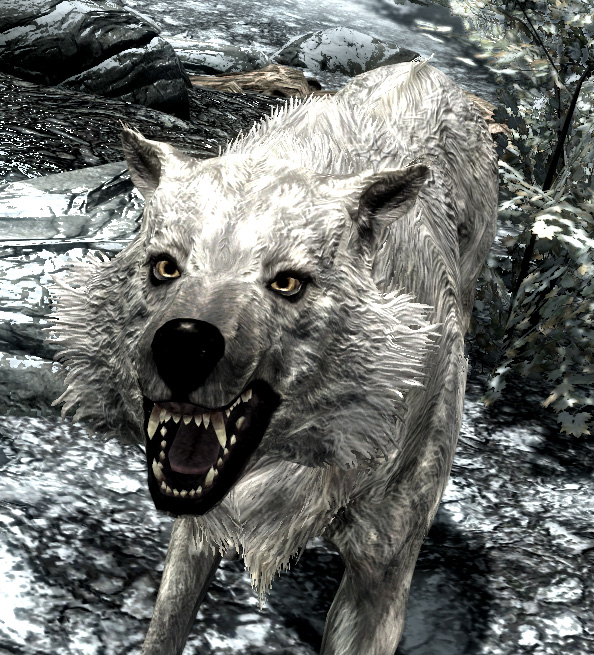 Снежный волк The Elder Scrolls Wiki Fandom