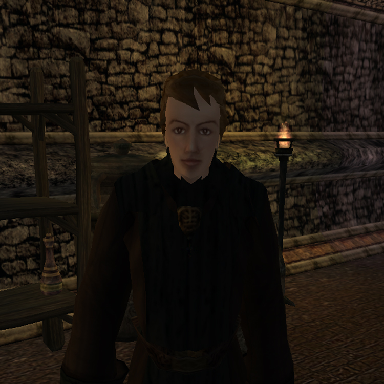 КатегорияАлхимики Morrowind The Elder Scrolls Wiki Fandom