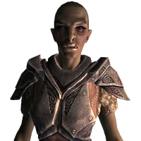 Орки (Skyrim) | The Elder Scrolls Wiki | Fandom
