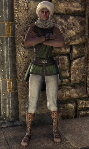 Forebear Warden Zakriah | Elder Scrolls | Fandom