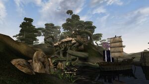 Vos | Elder Scrolls | Fandom