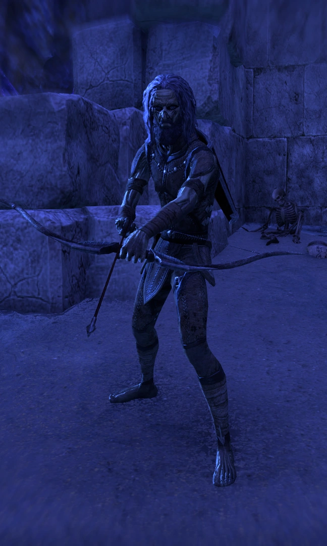 Dessicated Archer | Elder Scrolls | Fandom