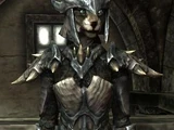 Category:Skyrim: Light Armor Sets | Elder Scrolls | Fandom