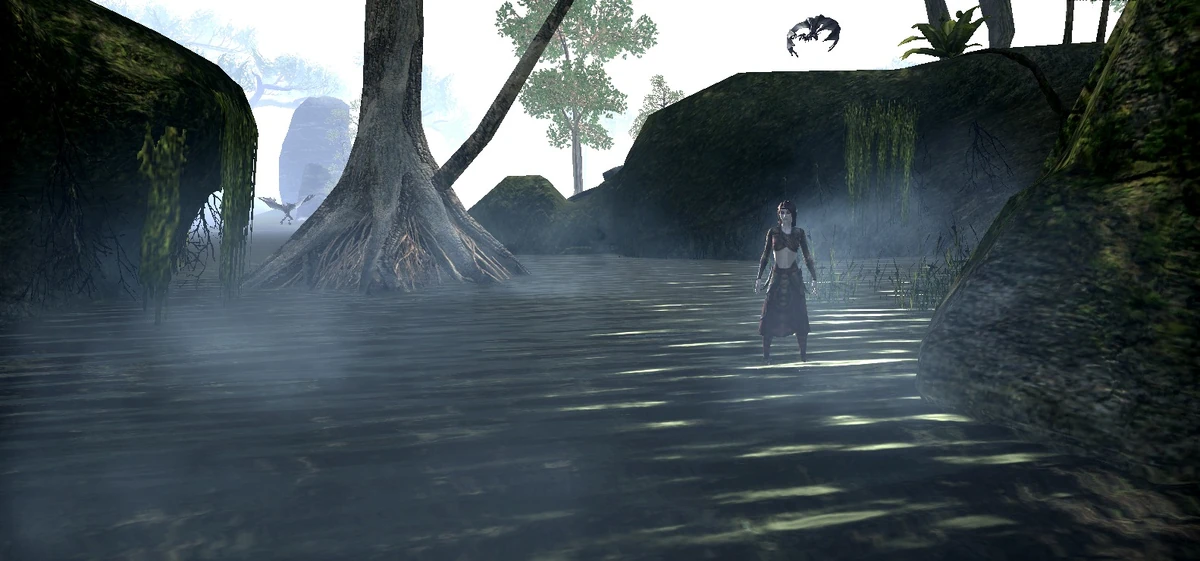 Lost in the Mist | Elder Scrolls | Fandom