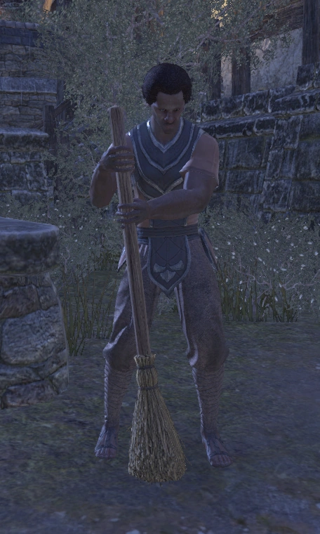 Nizran | Elder Scrolls | Fandom