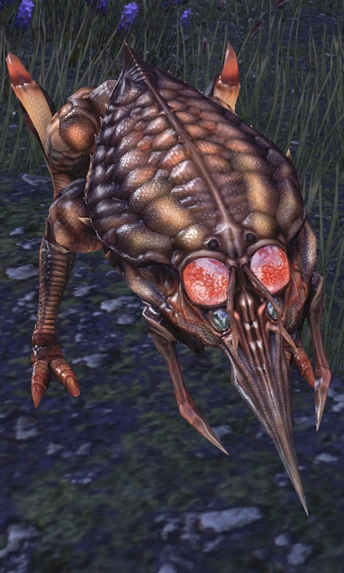 Puddin | Elder Scrolls | Fandom