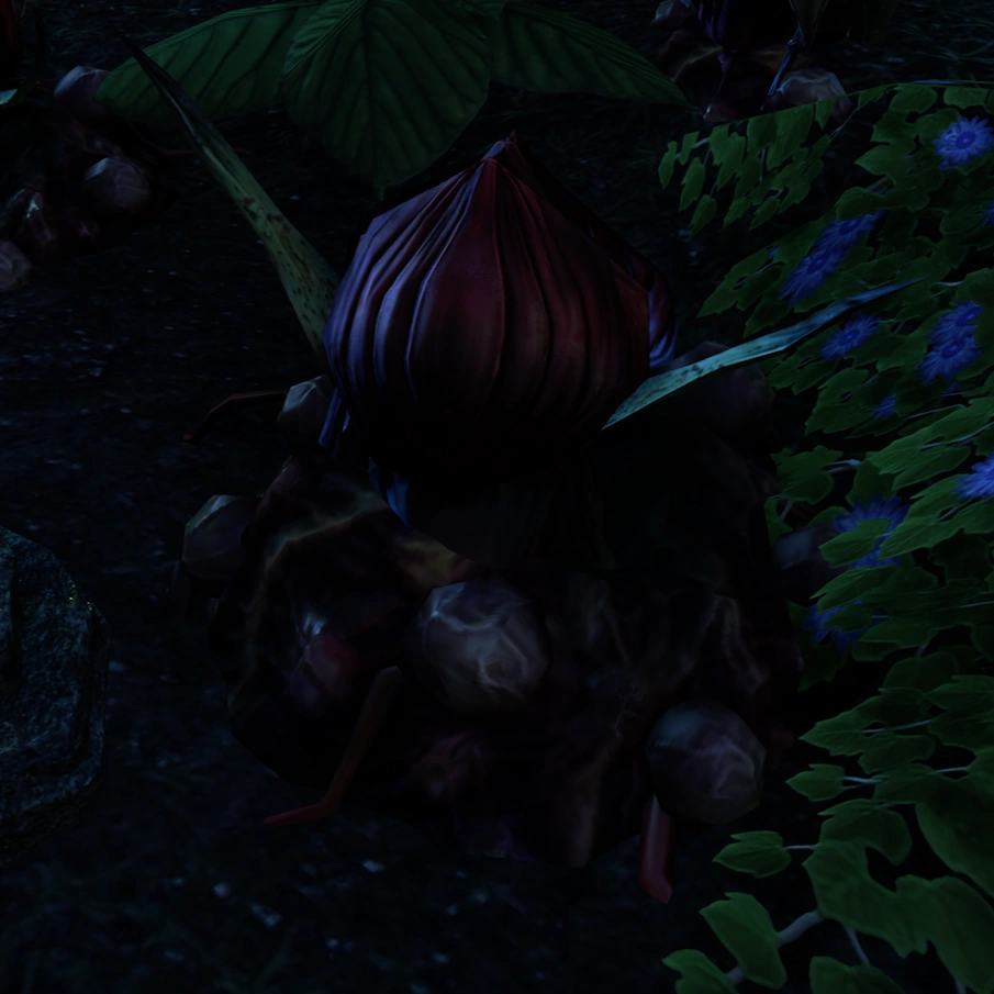 Strangle Vines | Elder Scrolls | Fandom