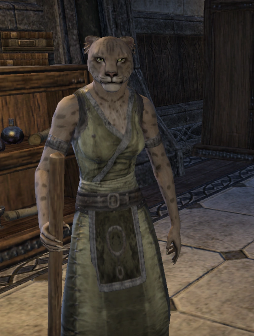 Zalayza | Elder Scrolls | Fandom