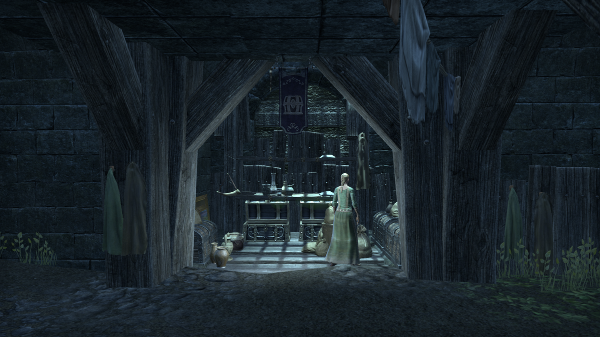 Канализационное хранилище Пакт The Elder Scrolls Wiki Fandom