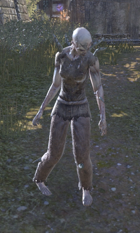 Bloodthorn Zombie | Elder Scrolls | Fandom
