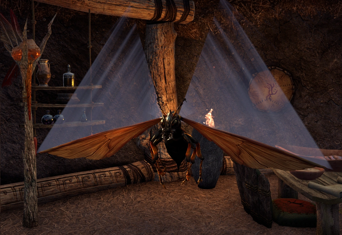 Chezik | Elder Scrolls | Fandom