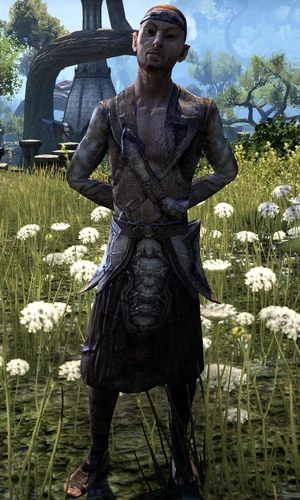 Spinner Maruin | Elder Scrolls | Fandom