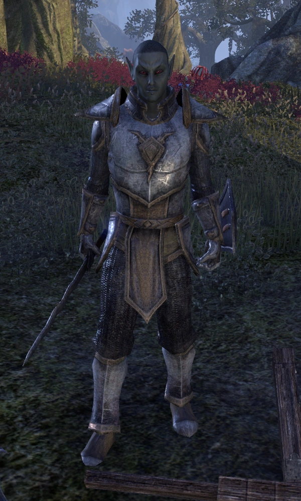 Caravan Guard | Elder Scrolls | Fandom