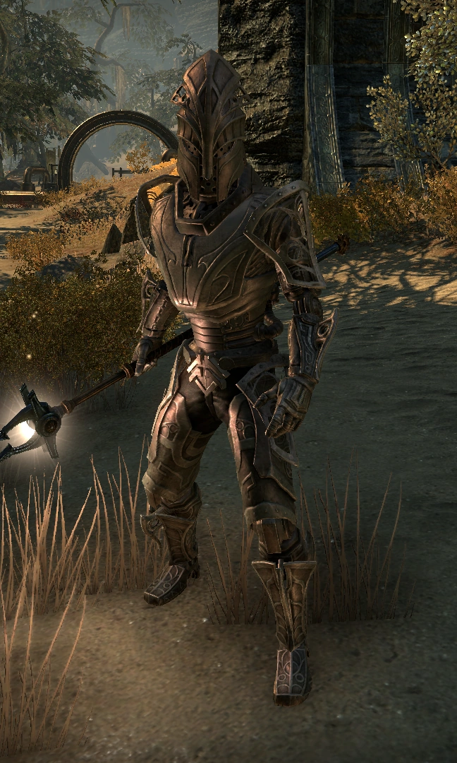 Factotum réparateur | Wiki The Elder Scrolls | Fandom