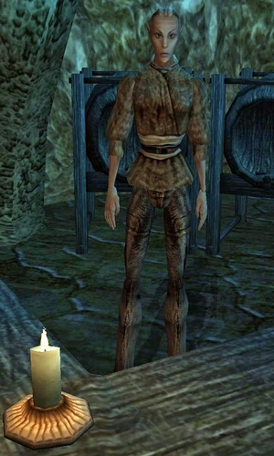 Fara (Morrowind) | Elder Scrolls | Fandom