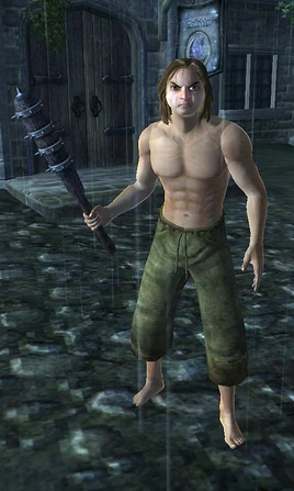 Hackdirt Brethren | Elder Scrolls | Fandom