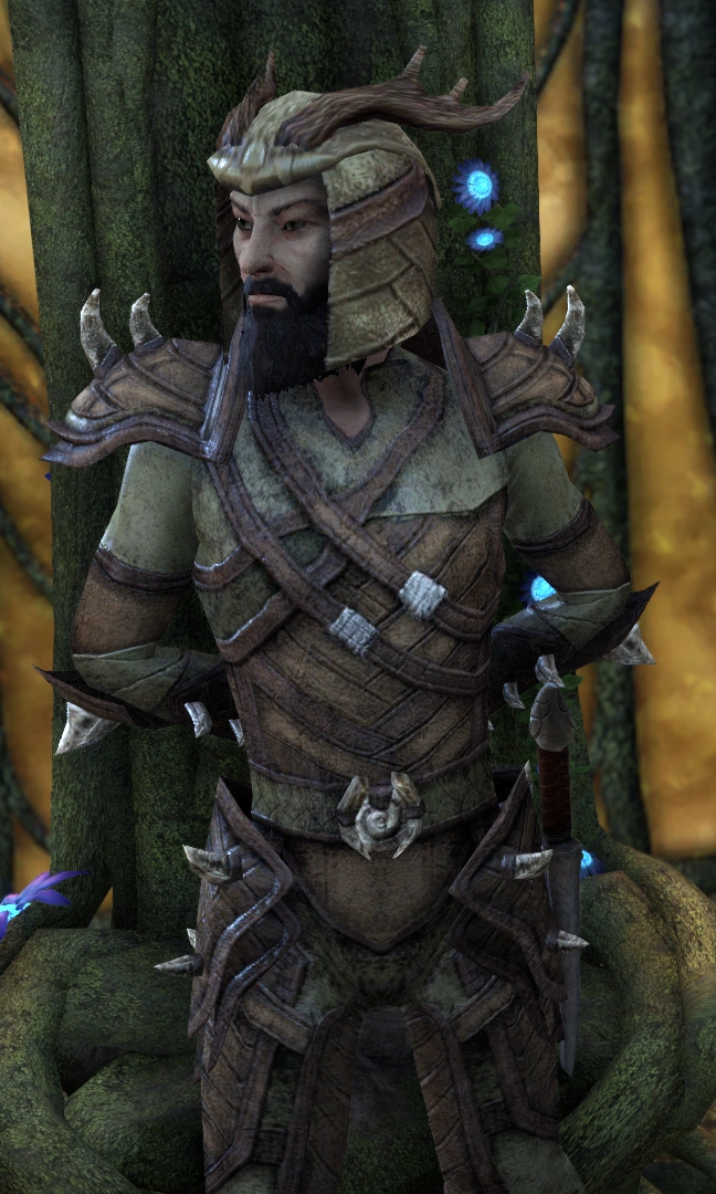 Roi Camoran Aeradan | Wiki The Elder Scrolls | Fandom