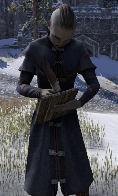 Snargara | Wiki The Elder Scrolls | Fandom