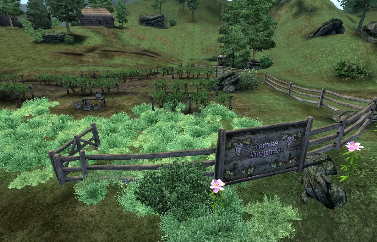 Tamikas Weinberge | Elder Scrolls Wiki | Fandom