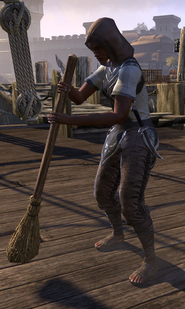 Azara | Elder Scrolls | Fandom