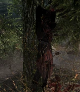 Festus Krex | Elder Scrolls | Fandom