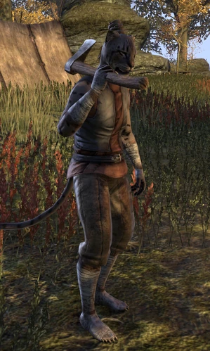 Jaram | Wiki The Elder Scrolls | Fandom