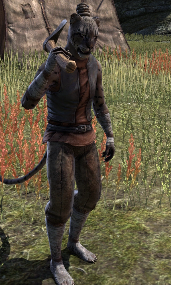 Jaram | Elder Scrolls | Fandom