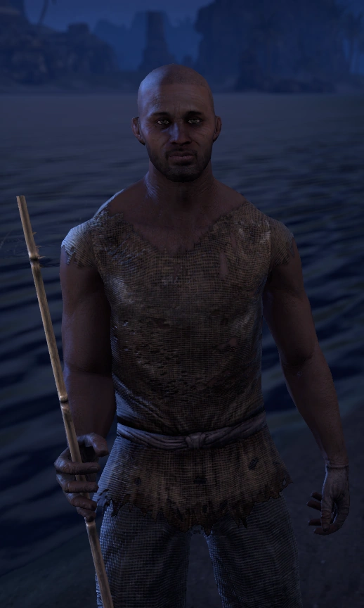 Wakil | Wiki The Elder Scrolls | Fandom