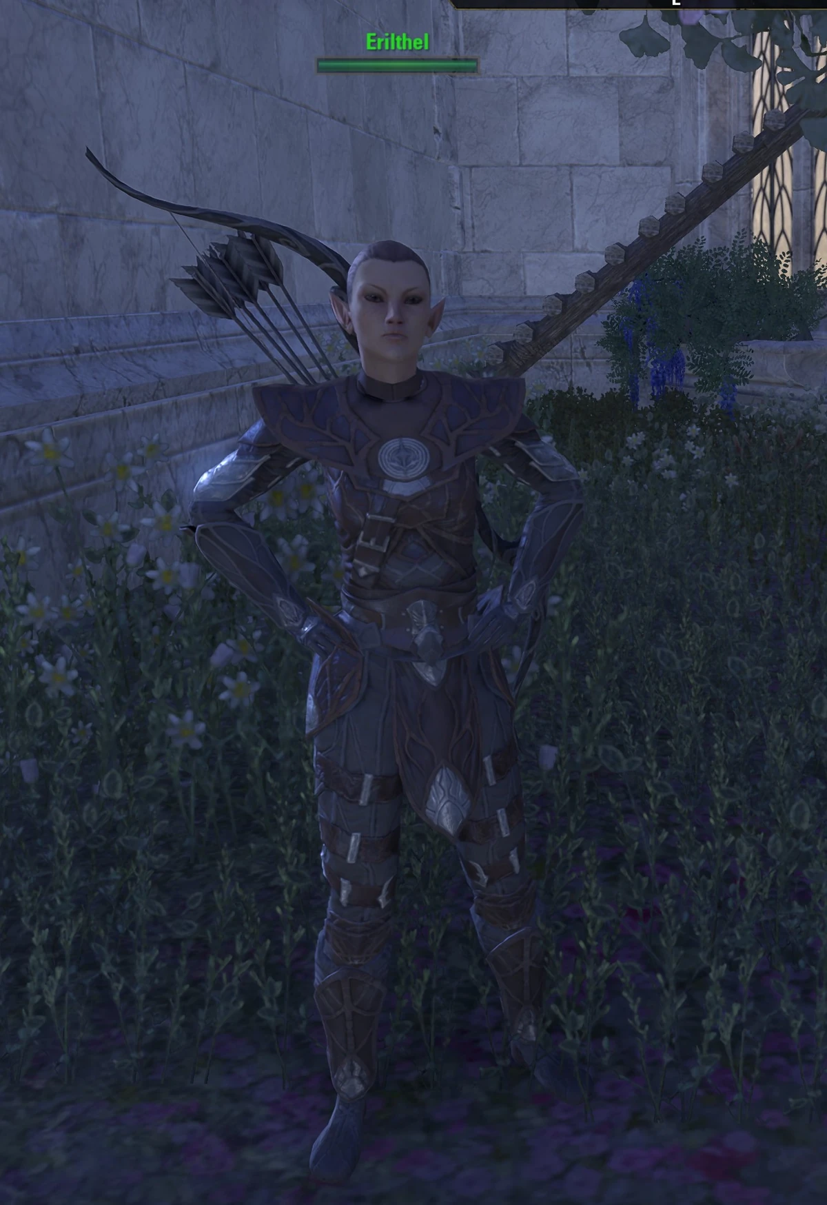 Erilthel | Elder Scrolls | Fandom