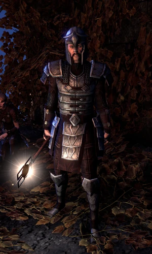 Imperial Mender | Elder Scrolls | Fandom