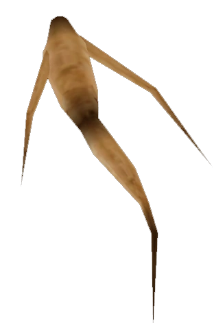 Raíz de mandrágora | Elder Scrolls | Fandom