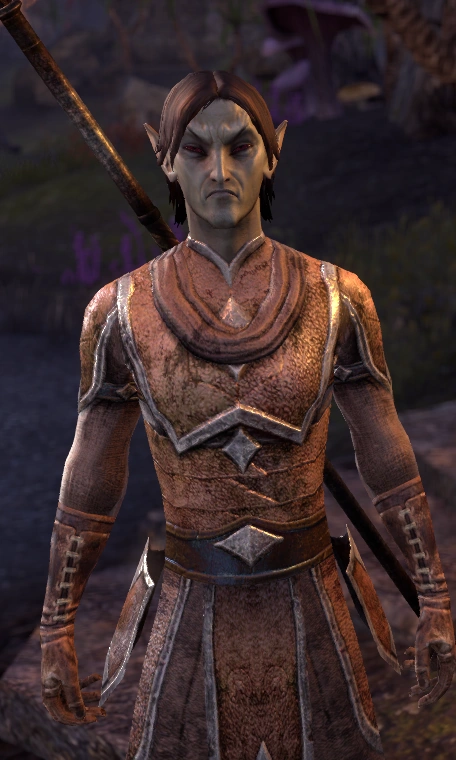 Sorcier Vunal | Wiki The Elder Scrolls | Fandom
