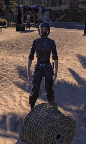 Sudia | Elder Scrolls | Fandom