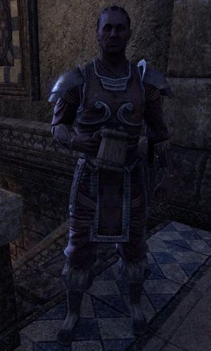 Ahdan | Elder Scrolls | Fandom