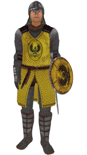Bruma Investigator Guard | Elder Scrolls | Fandom