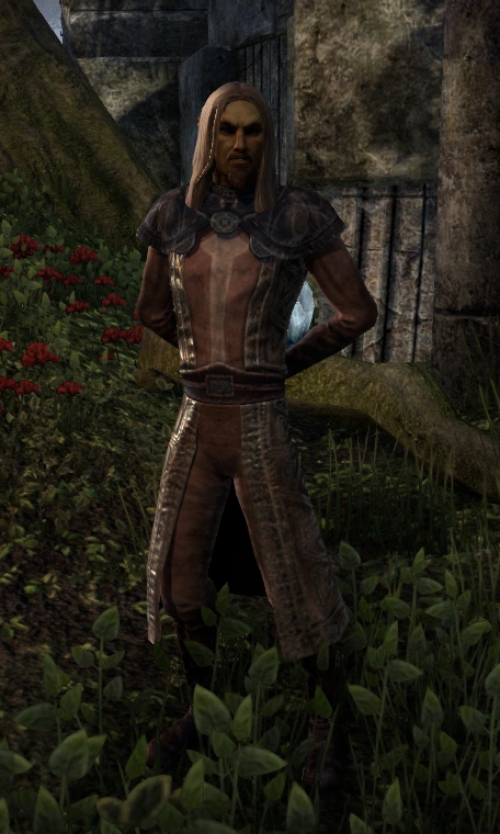 Elondil | Wiki The Elder Scrolls | Fandom