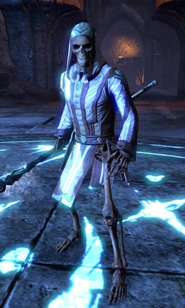 Mage banni | Wiki The Elder Scrolls | Fandom