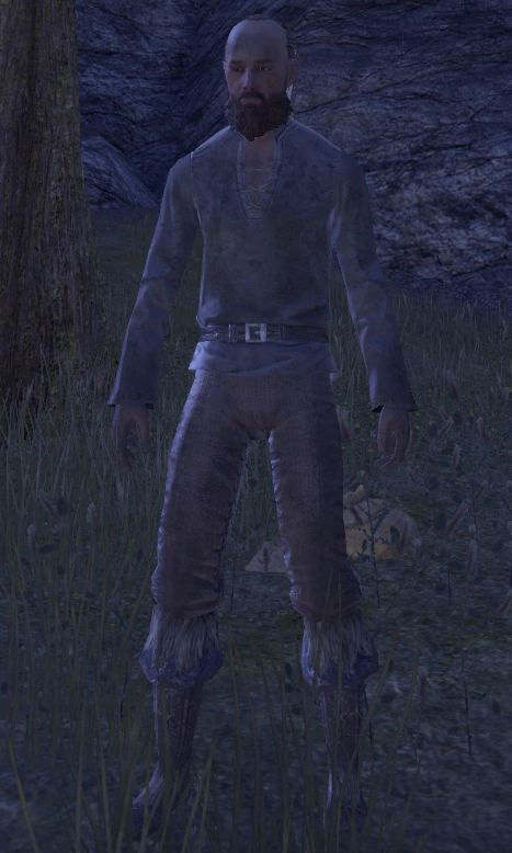 Nael (Online) | Elder Scrolls | Fandom