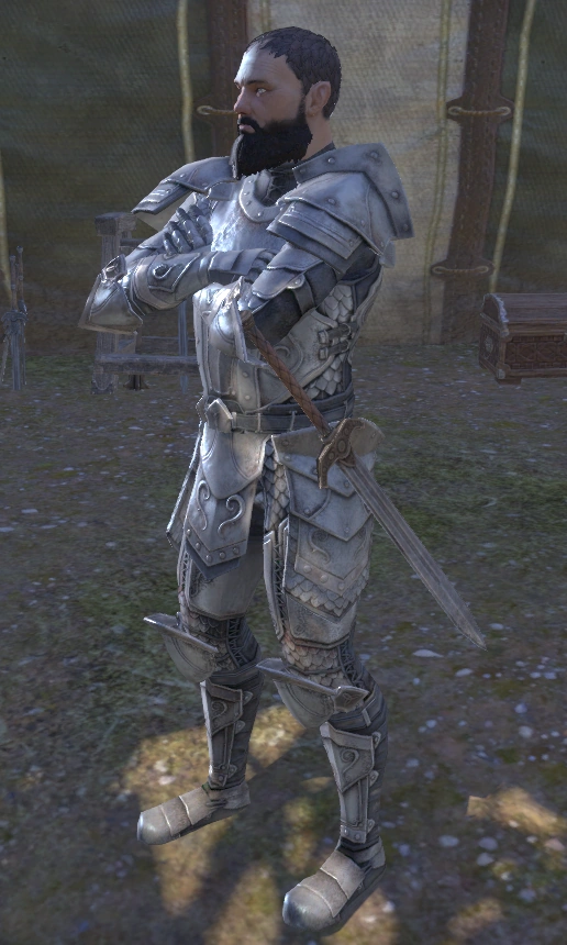 Sir Olwin Teague | Elder Scrolls | Fandom