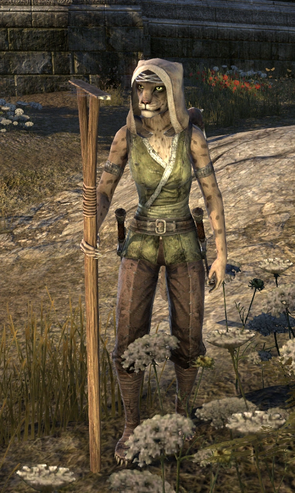 Suzabi | Elder Scrolls | Fandom