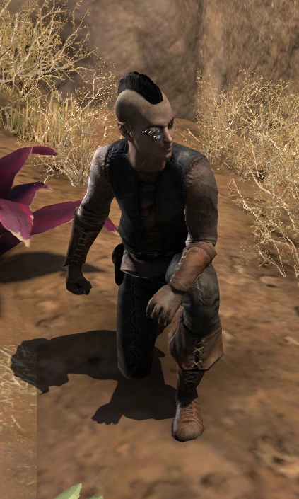 Vole | Elder Scrolls | Fandom