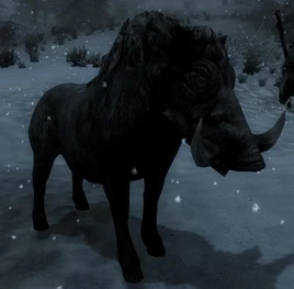 Bristleback (Dragonborn) | Elder Scrolls | Fandom