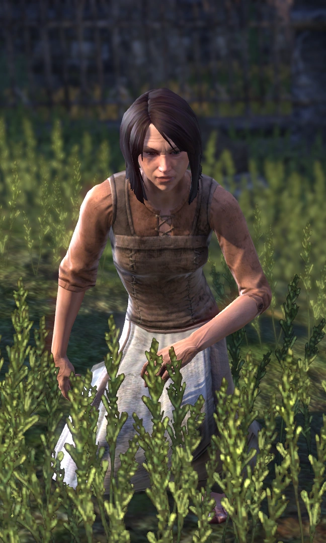 Dorothéa | Wiki The Elder Scrolls | Fandom